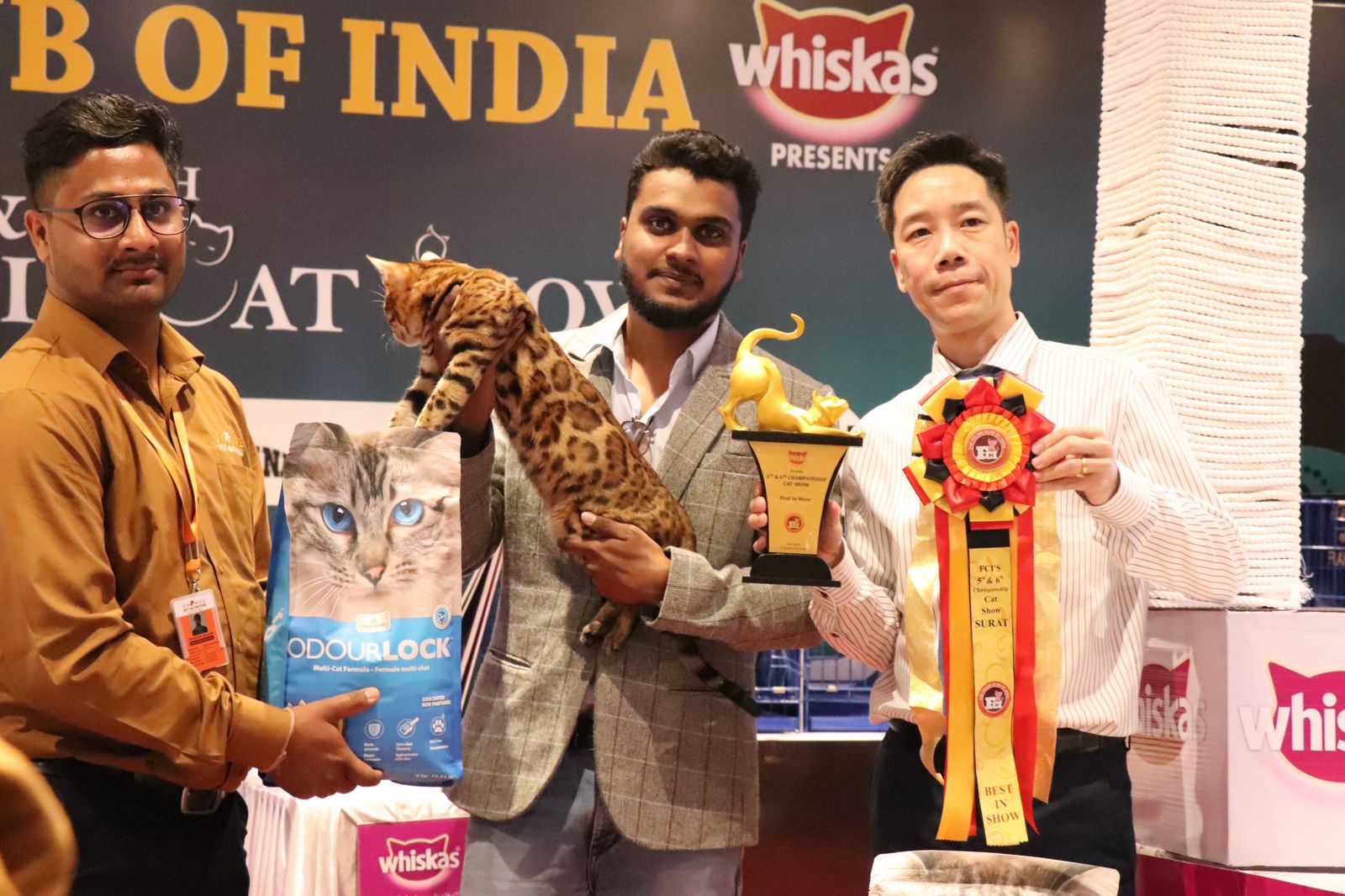 Bhopal's cat man orders from Russia, spends 4.25 lakhs every year on cats