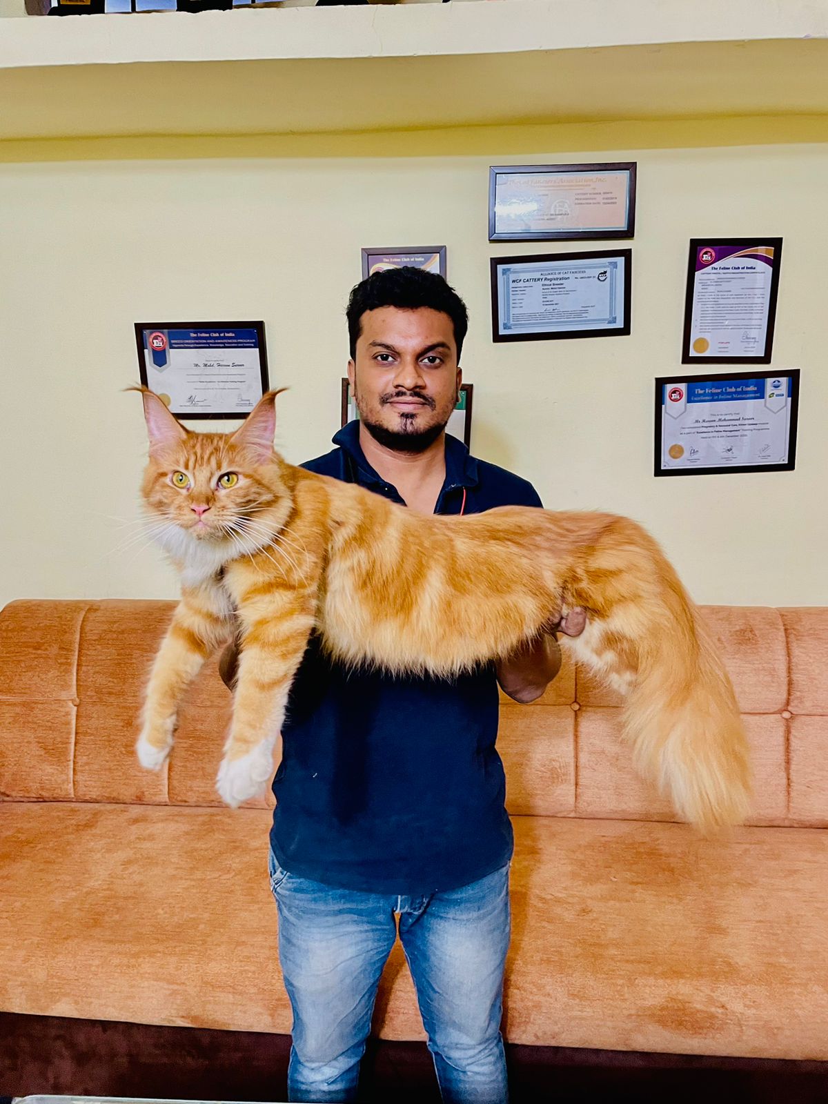 Bhopal's cat man orders from Russia, spends 4.25 lakhs every year on cats