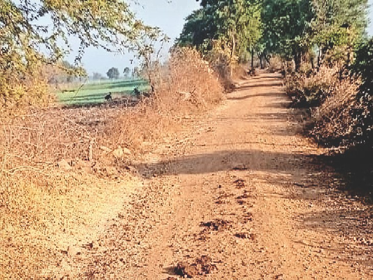 Demand for asphalting of Kacharia-Khetkheda road from Gangakhedi ...