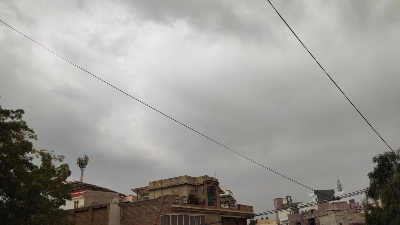 The minimum temperature reached below five degrees Celsius at night, no ...