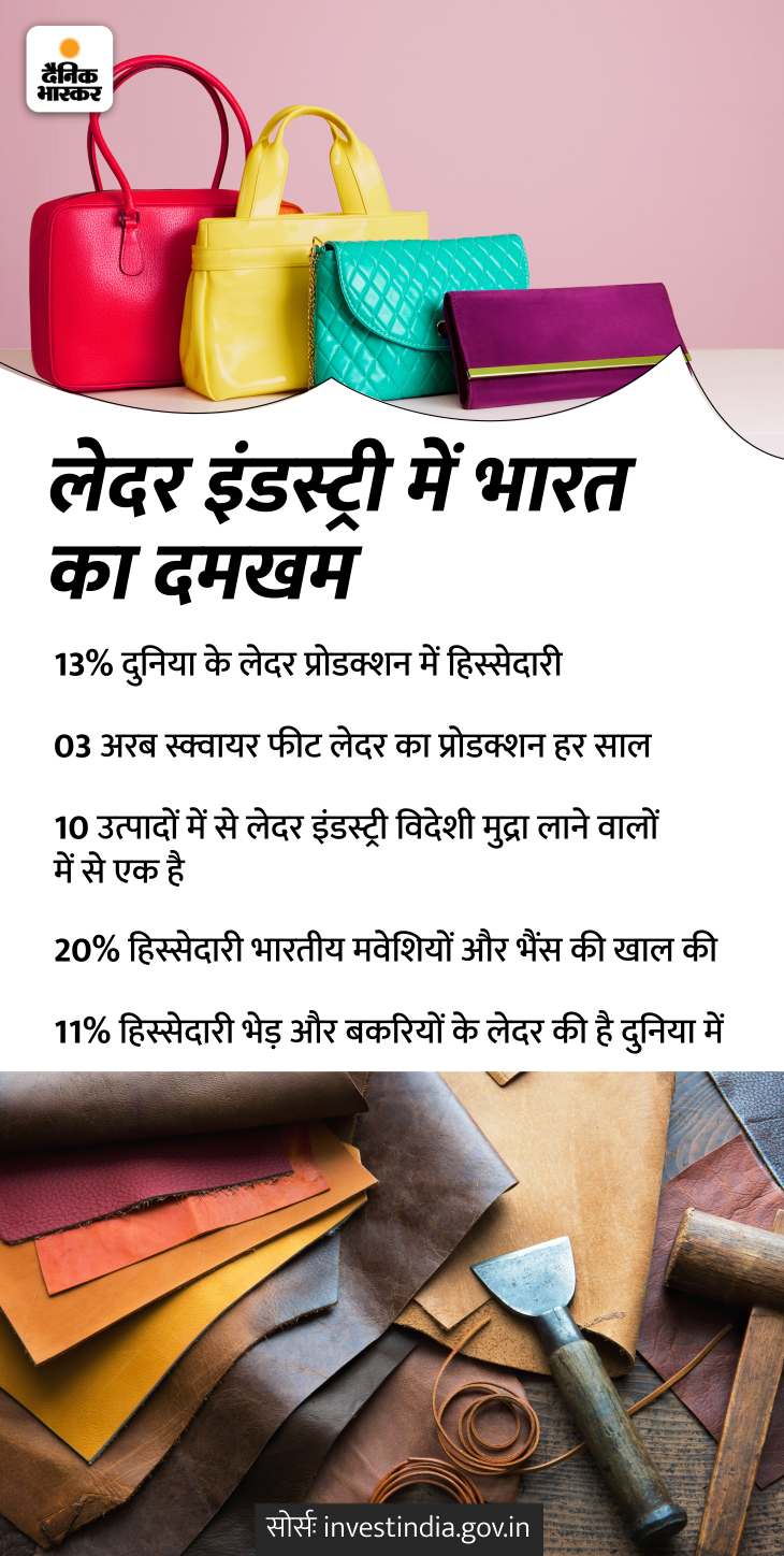 Human Skin Shoes | Products with Pig Skin and Human DNA