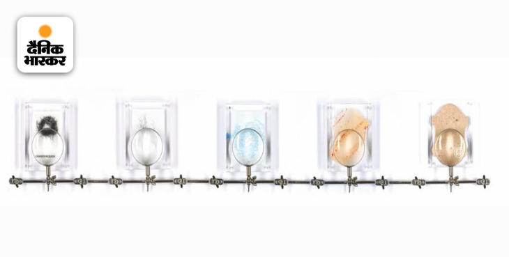 Human Skin Shoes | Products with Pig Skin and Human DNA