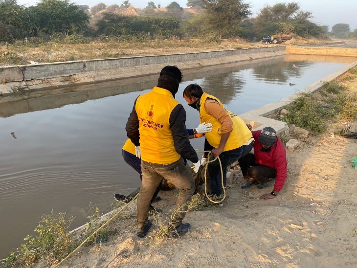 Jodhpur Rajiv Gandhi Canal SDRF Operation; Dead Body Found | Jodhpur News | नहर में गिरे युवक का ...