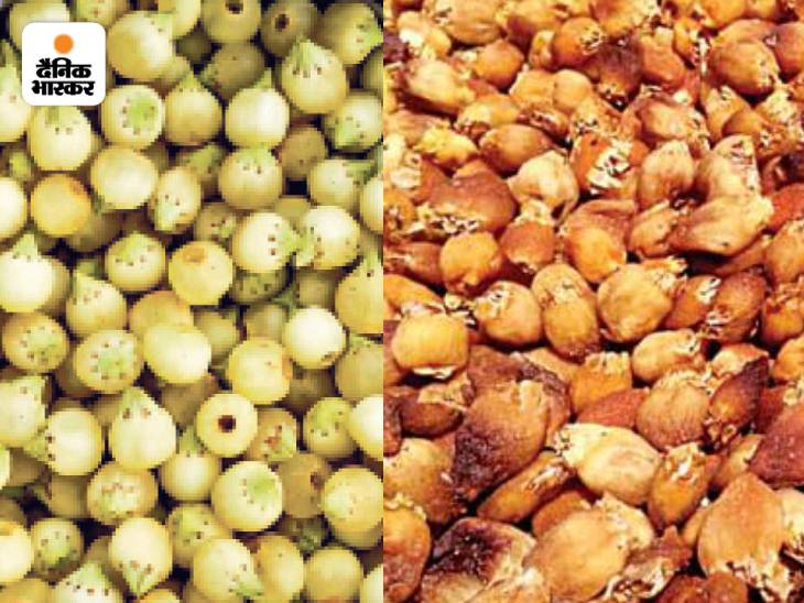 International Herbal (Forest) Fair 2022 Bhopal; Mahua Ladoo Price And ...
