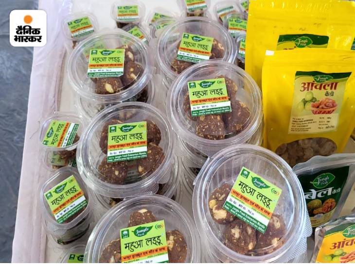 International Herbal (Forest) Fair 2022 Bhopal; Mahua Ladoo Price And ...