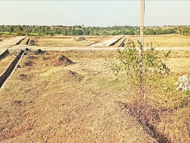 मुलताई | Multai - Dainik Bhaskar