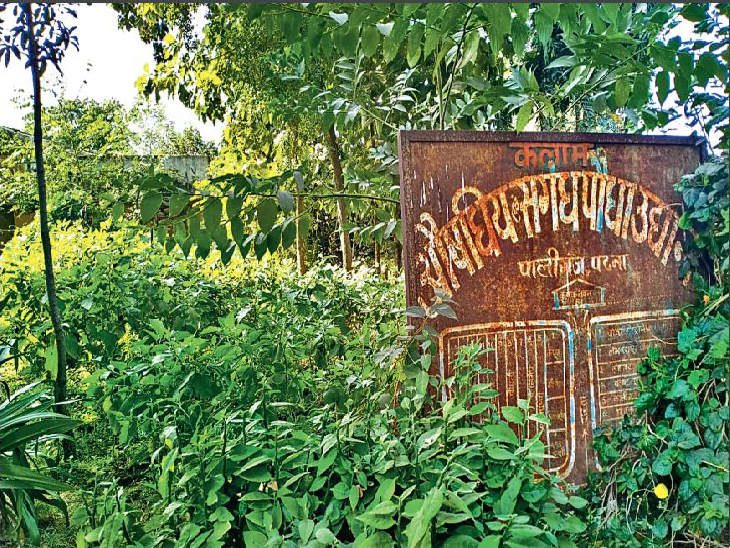 APJ Abdul Kalam's dreams shattered in Paliganj... Brinjal-Bhanta ...