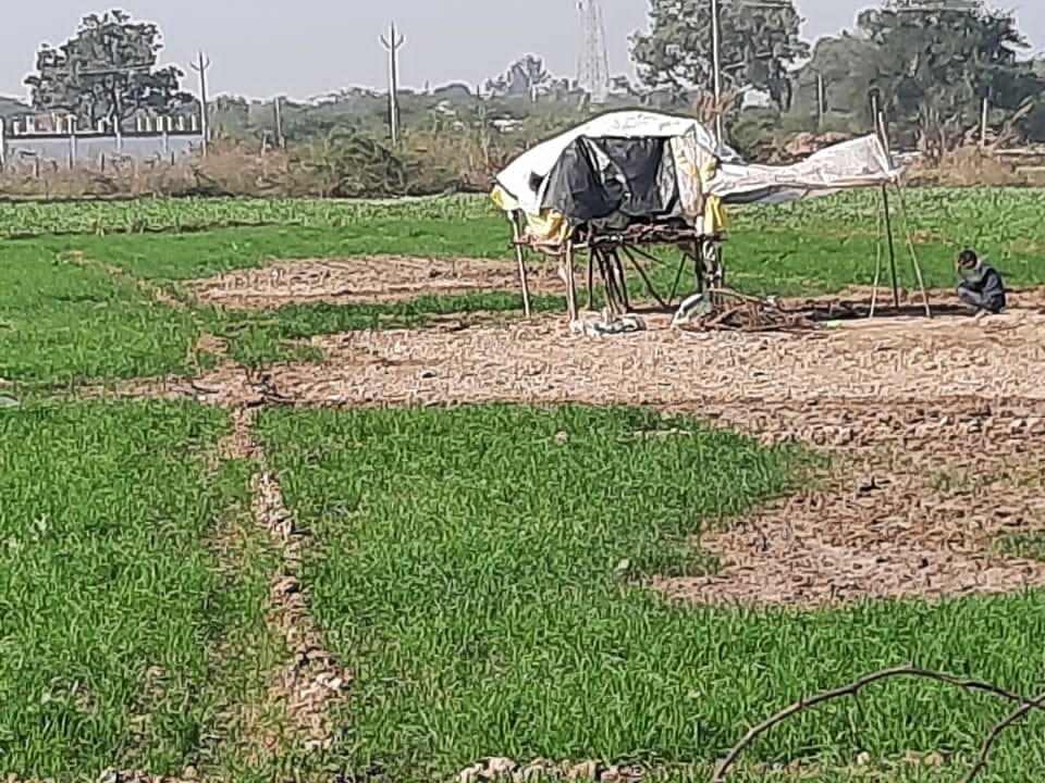 Farmer died due to cold in Unnao, he was guarding the farm to save it ...
