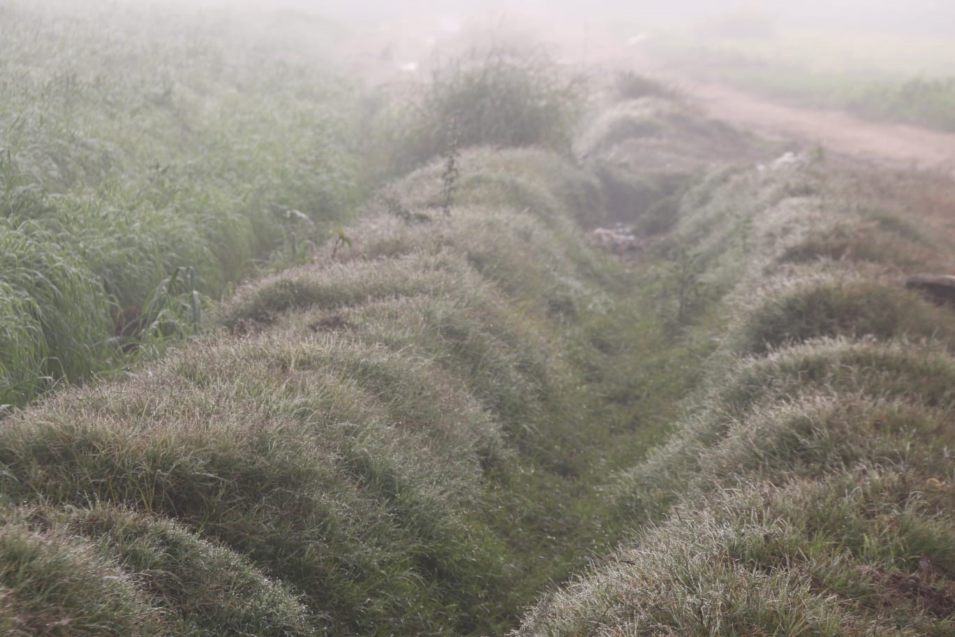 Fog in the morning, scorching sun in the afternoon and cold winds in ...