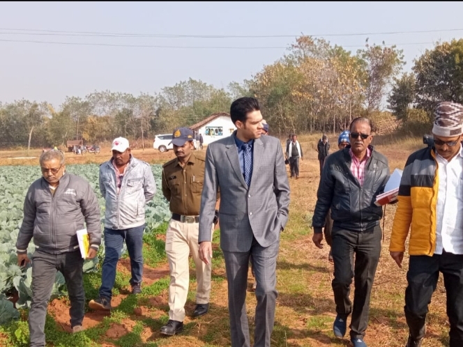 Collector took action on negligence in demarcation work, demarcation ...