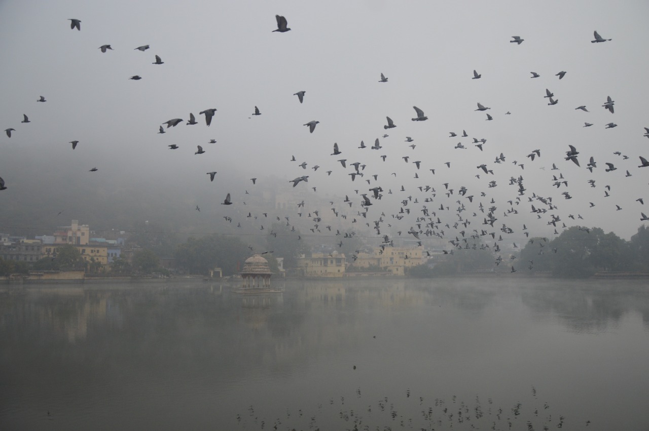 जयपुर में हाथ-पैर सुन्न करने वाली सर्दी; 5 साल बाद जनवरी में ऐसी ...