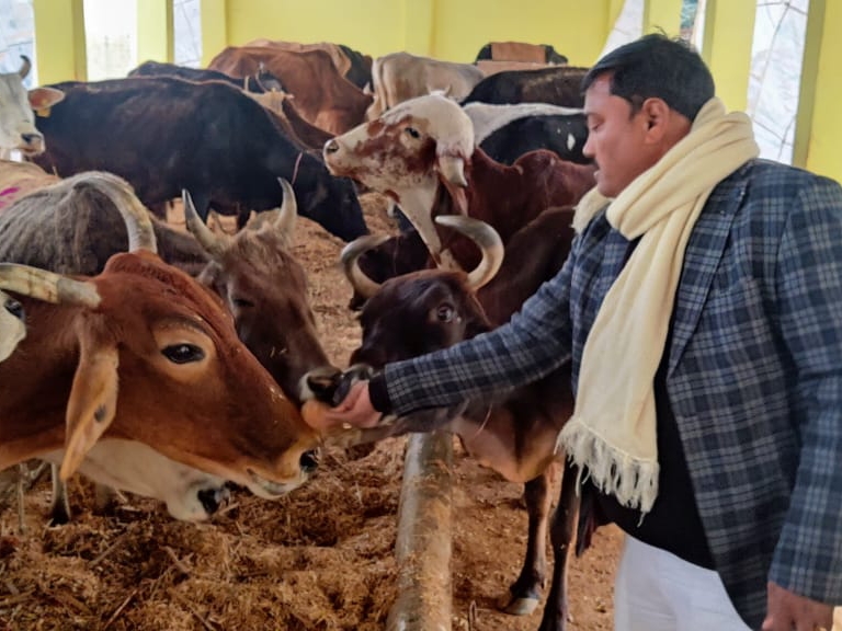 Instructions given to save animals from cold, said- get regular health ...