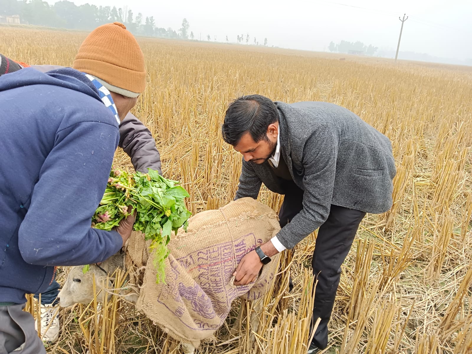 Campaign being run from 1st to 7th January, Acharya Brijesh Pathak said ...