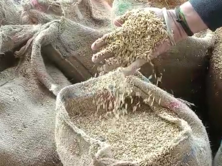 Bought husk in the name of paddy, got 15 to 20 kg of paddy weight in 40 ...