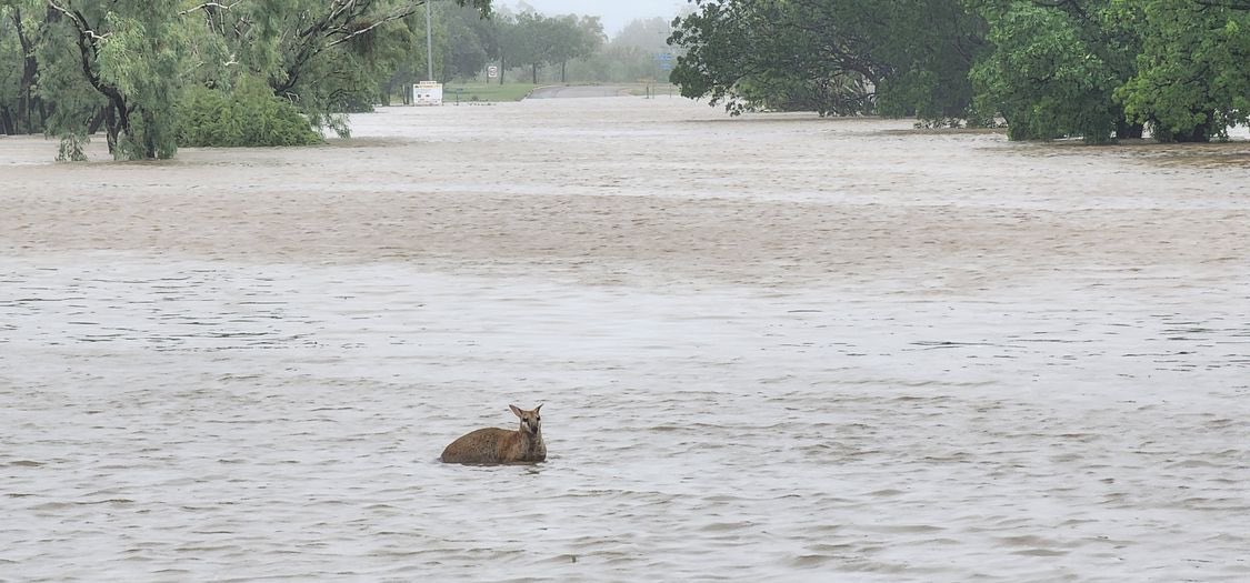 Australia Flood Situation Update; Tropical Cyclone Ellie Impacts On ...