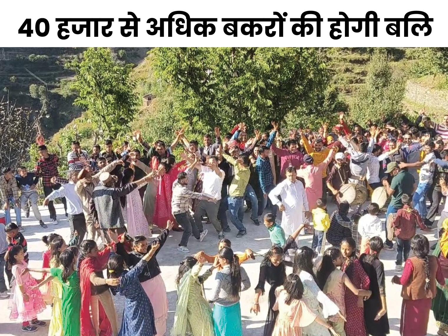 Sirmaur : Tribal Area, Poush festival, Haripurdhar, Noradhar, Goats ...