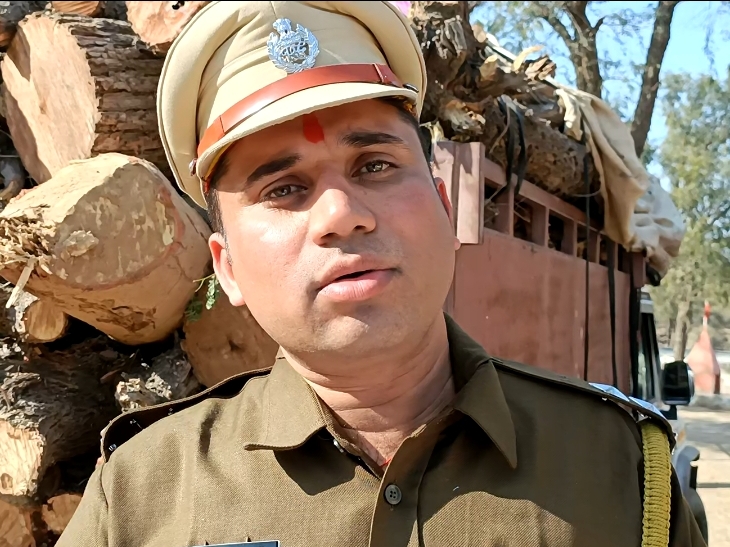 क्षेत्रीय वन अधिकारी रेंजर अनुप शर्मा एपीओ, देर रात जारी किया आदेश ...