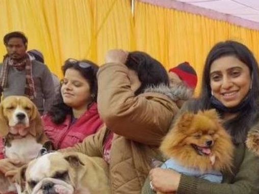 24 breed dogs will have competition, baby handler, lady handler segment ...