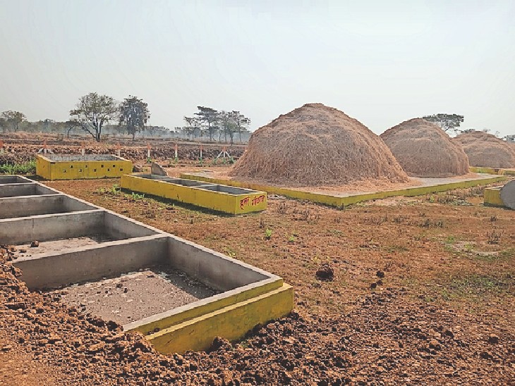 Cocoa production in Pendri, cards will be printed in Jarve, spraying of ...
