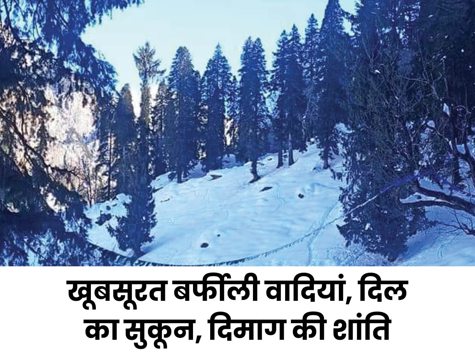 himachal tourism: manali new tourist destination hamta with igloo house ...