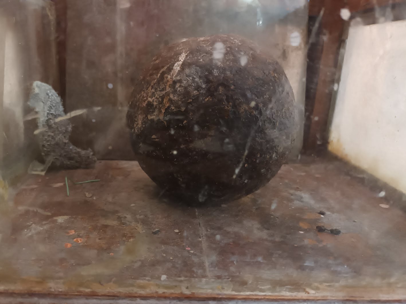 Historical fort complex and temple witness, there was a war between the ...