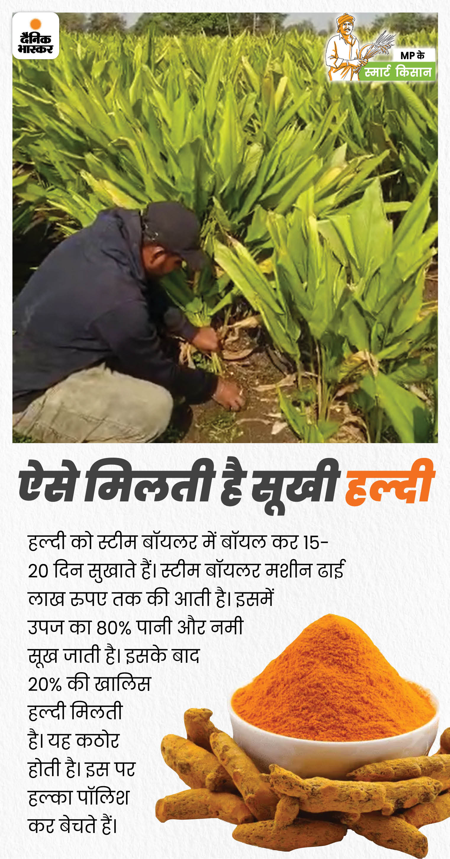 Haldi Ki Kheti [Turmeric Farming] Process; MP Burhanpur MSc Pass Farmer ...