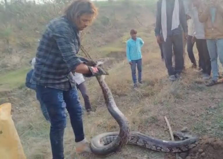 Snake Saver did the rescue after three hours of effort; three 15-15 ...