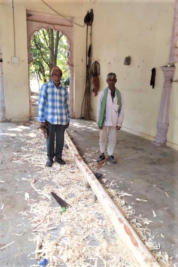 Holi punishment of 30 feet tall tree near Ashapal is ready