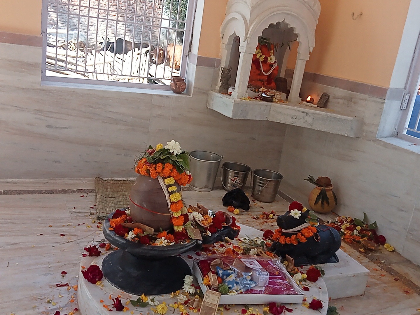 Conch shells, shells and shells were fired, Narmadeshwar Mahadev ...