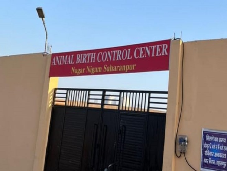 15 to 20 dogs are sterilized daily in Animal Birth Control Center ...
