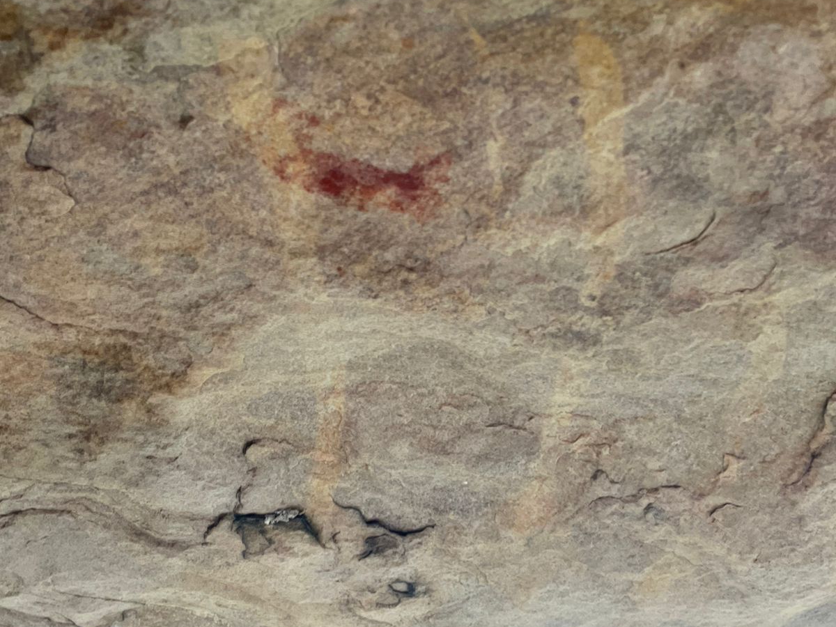 Rock paintings being told of stone age, evidence found in thousand ...