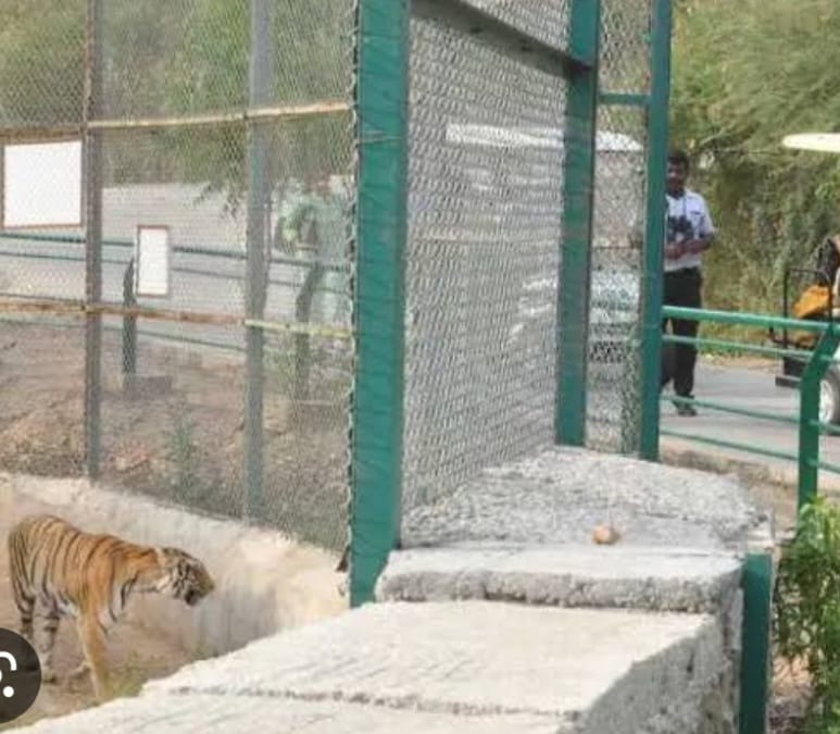 Forest guard to ranger were sitting on dharna by closing the park ...