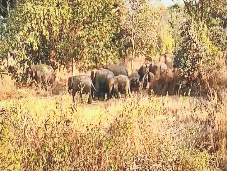 Hasdev remained on the banks throughout the day, crossed the river and ...