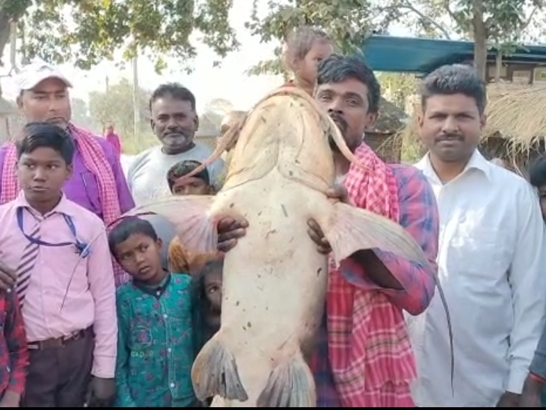 Crowd of people gathered to see, fishermen caught fish from Ghoghari ...