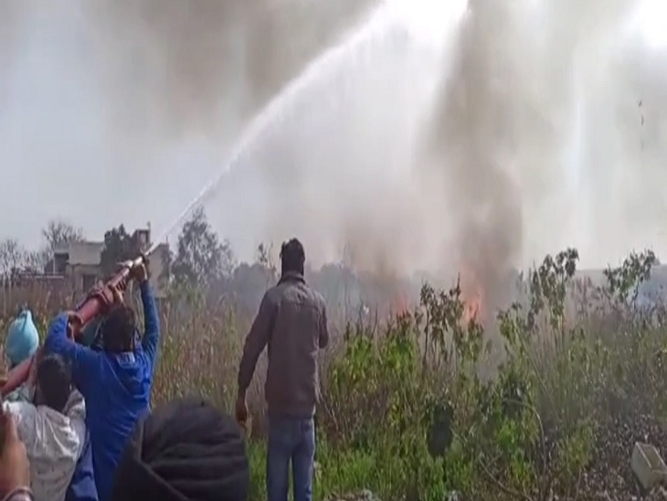 Ludhiana Samrala Thousands ‌Birds ‌Burn Slap Fire | लुधियाना में छप्पड़ ...