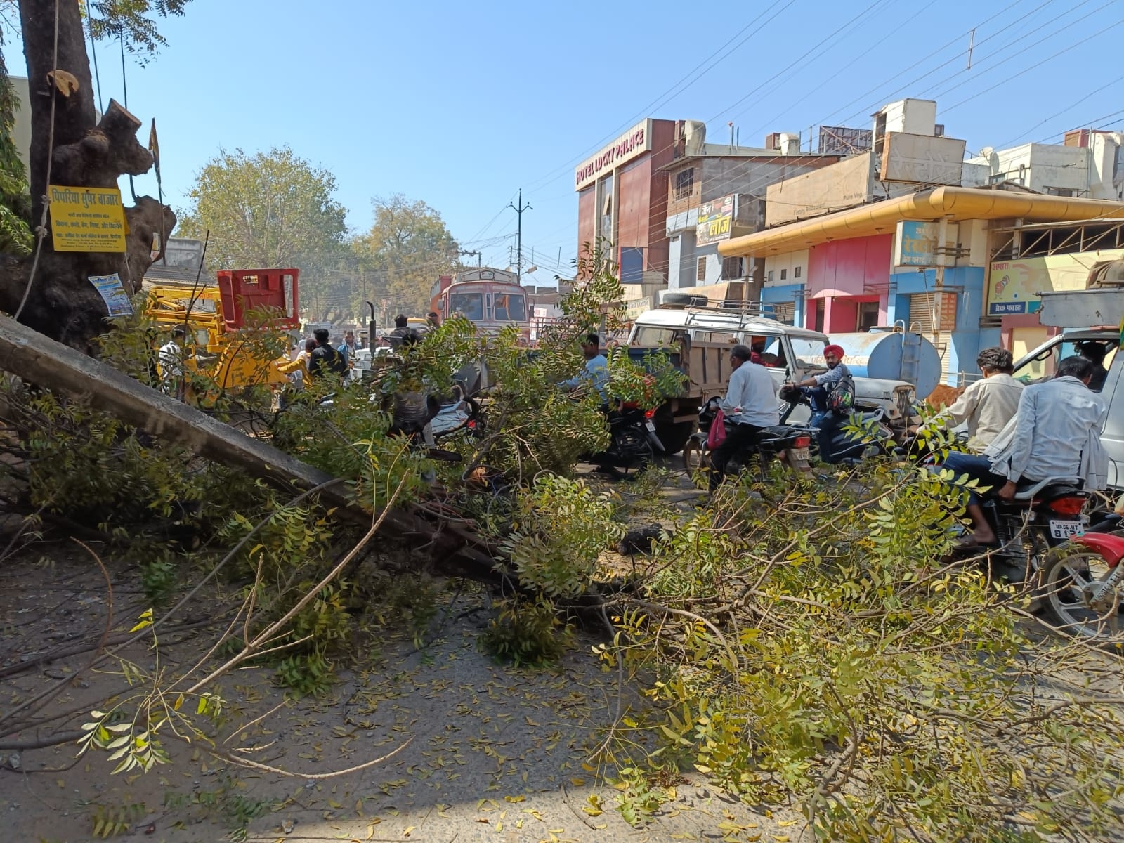 पिपरिया | Pipariya - Dainik Bhaskar