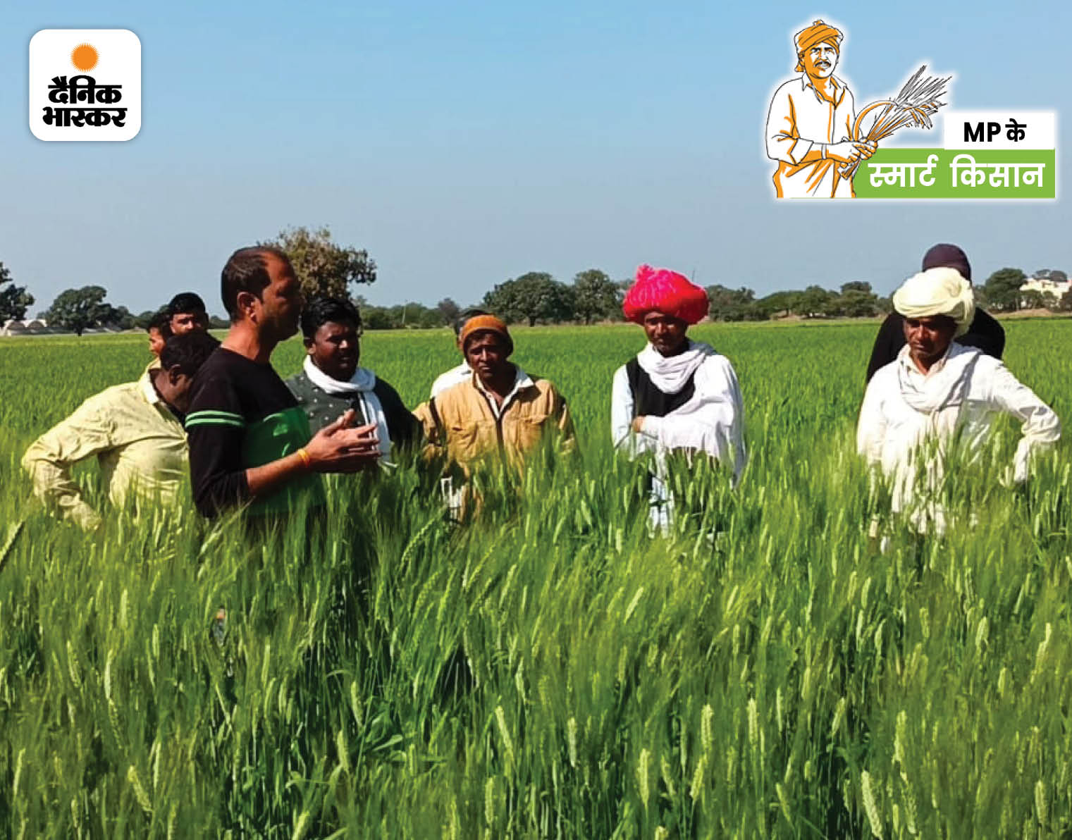 MP Organic Farming (Jaivik Kheti); Dhar Award Winning Farmer Narendra ...