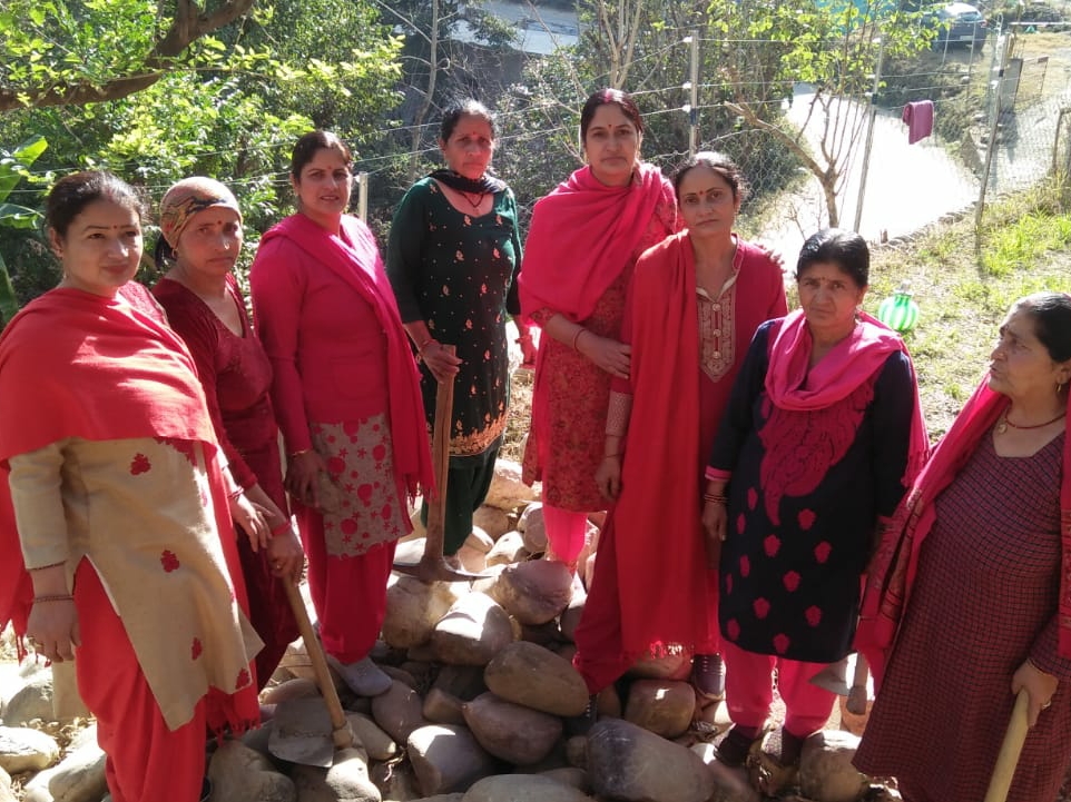 MNREGA workers got work in Dharampur; Himachal Pradesh| | धर्मपुर में ...