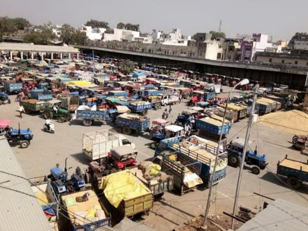 By giving 22 hectares of land to Anaj Mandi, 6 hectares of land will be ...