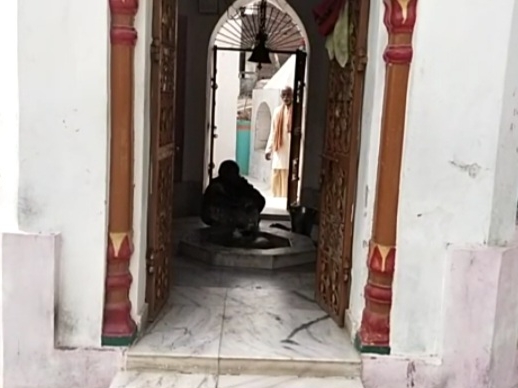 अमेठी जिला | Amethi District - Dainik Bhaskar