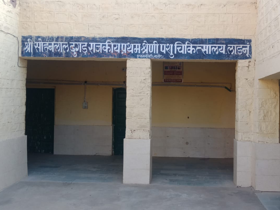 First class veterinary hospital of Ladnun will be upgraded, complex ...