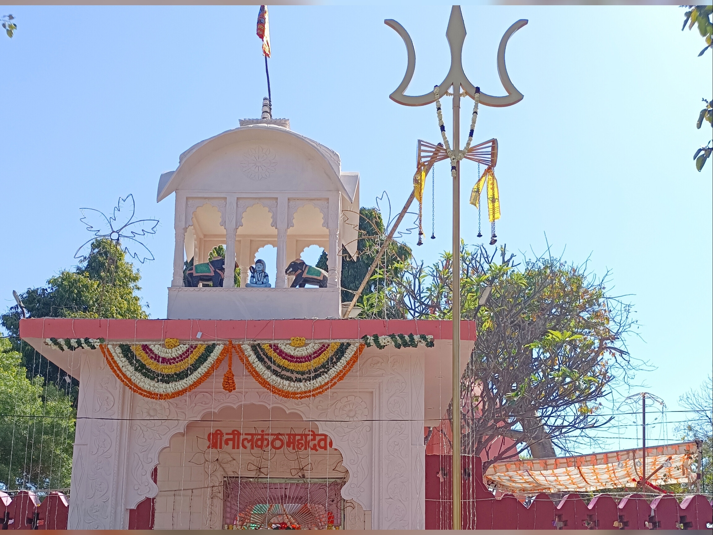 Neelkanth Mahadev's royal ride came out for the first time in the town ...
