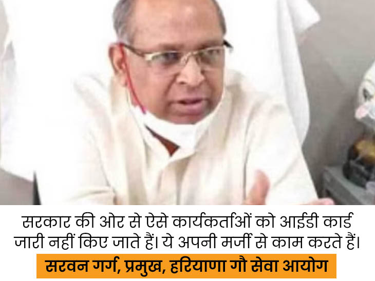 Haryana Rajasthan Gau Rakshak Controversy Haryana Cow Service Commission Shravan Garg Haryana ...