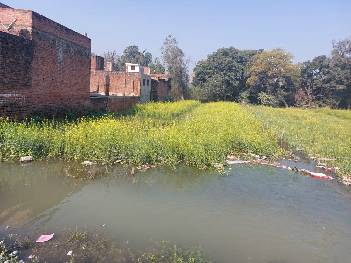 Minor cut of Sharda canal: see the situation in pictures; Crops of more ...