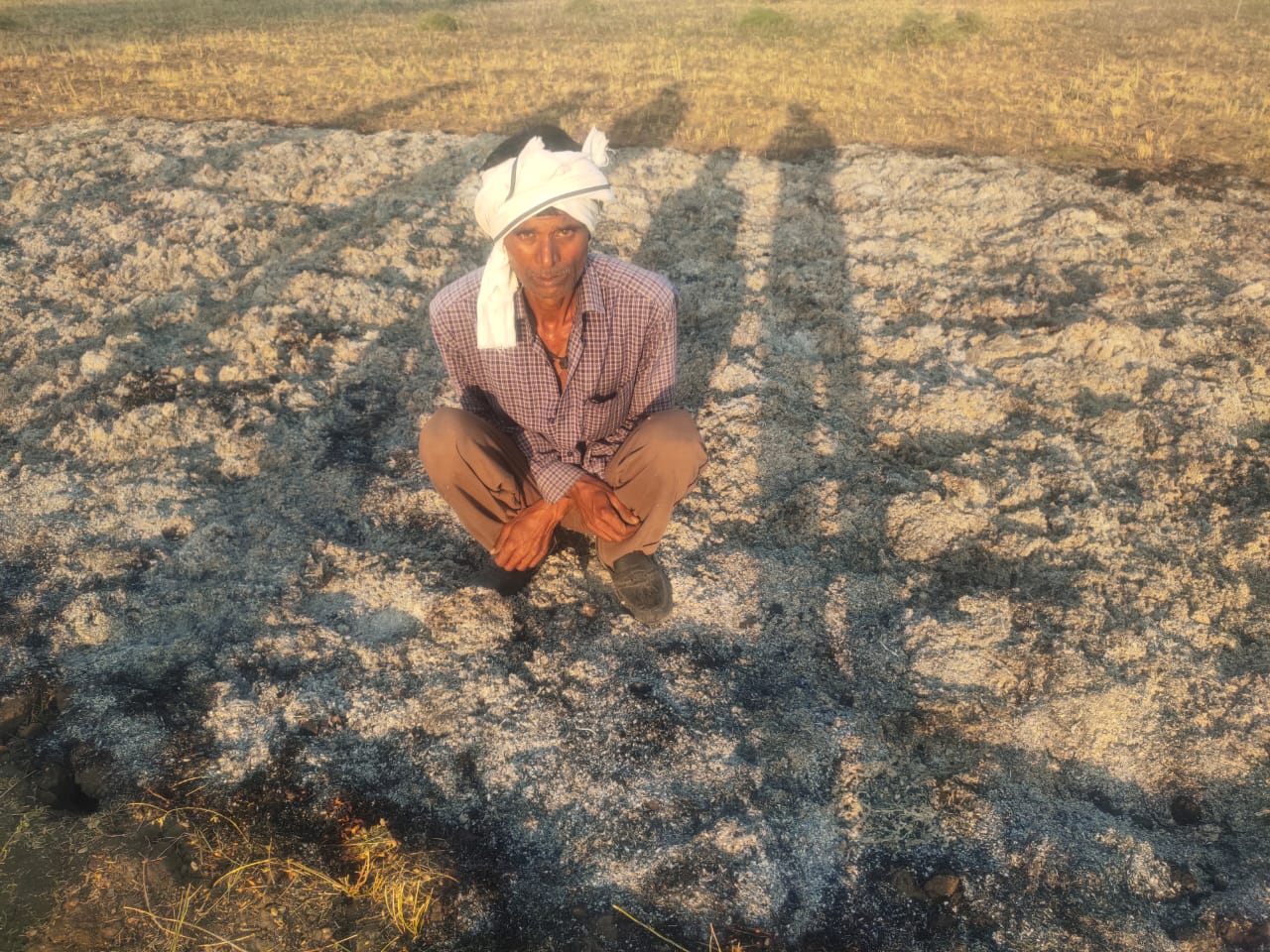 About two and a half lakh crops planted in 4 acres were burnt to ashes ...