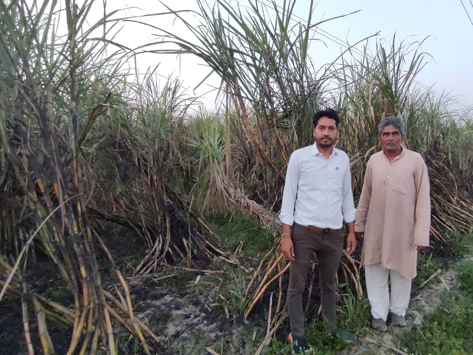 Five bighas of crop burnt to ashes due to spark of high tension line ...