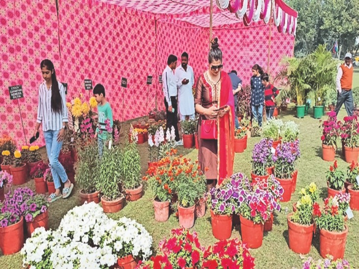 Basant Vihar's Geeta Singh won the first prize in fresh flower ...
