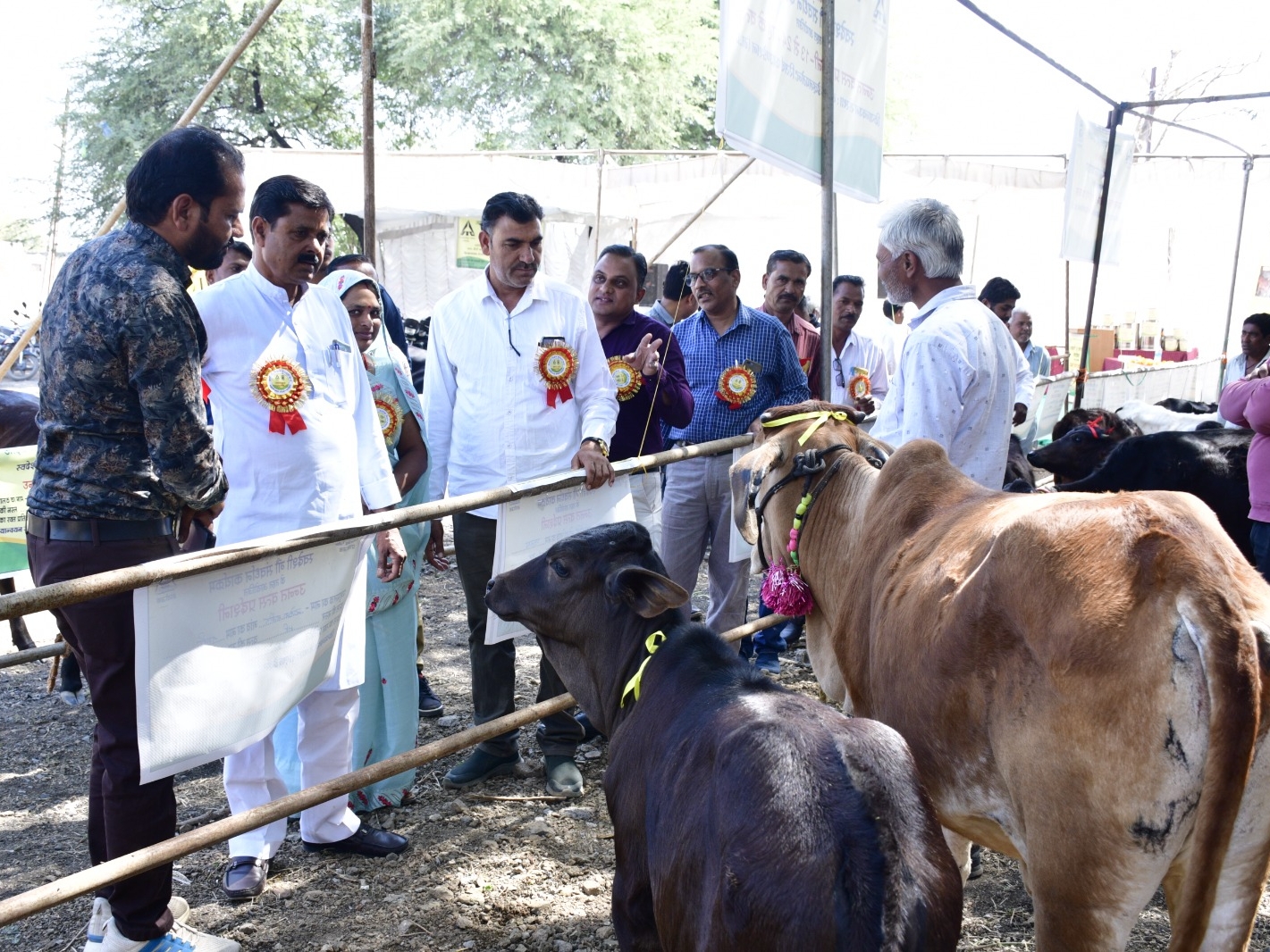 Started with 4 livestock development centers 10 years ago | कॉफ रैली ...