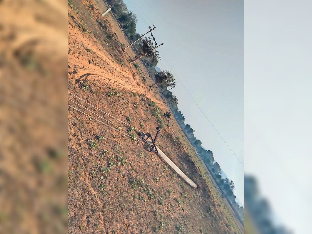 Trees were being cut, fell on the power line, 5 poles and line broke ...