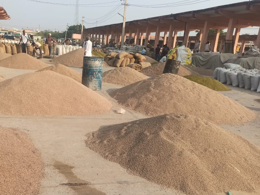 Price fell by Rs 2,250 per quintal in a day, cumin came at 32 thousand ...